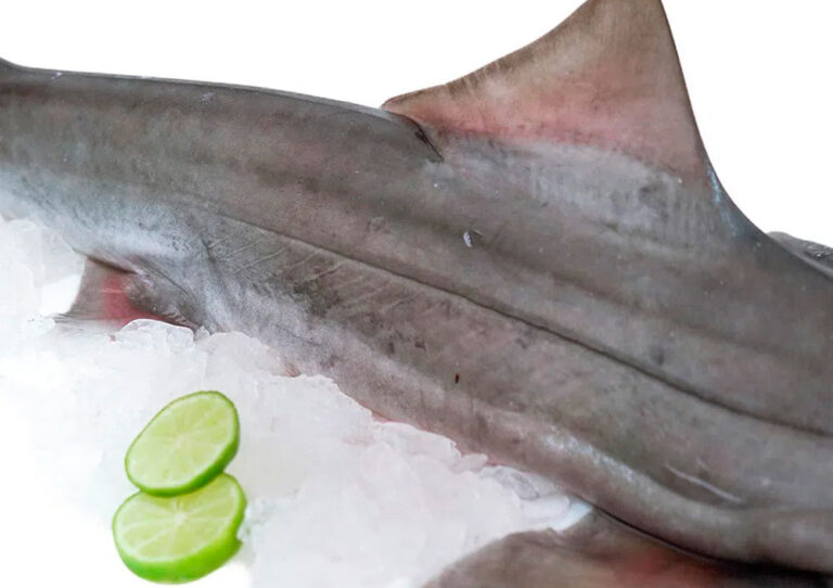 Pescados – Comercializadora Pezcar